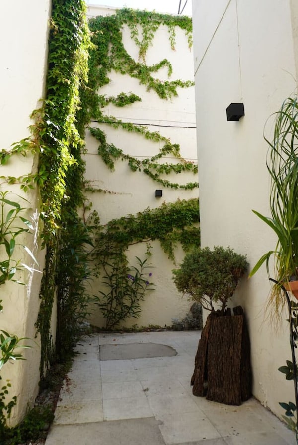 Beautiful House In Front Of The Sanctuary #4-d - Guadalajara