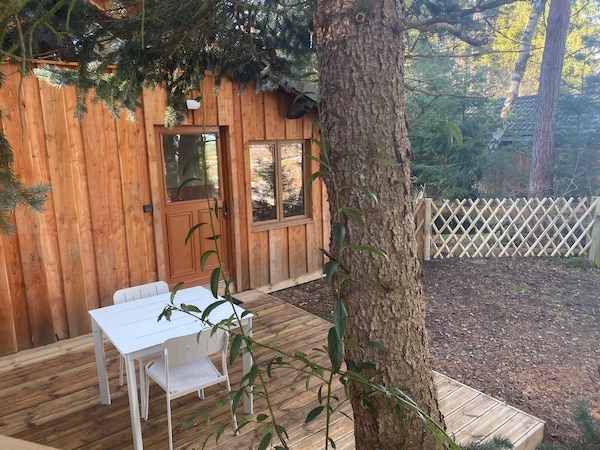 Chalet Aydat - Saint-Nectaire