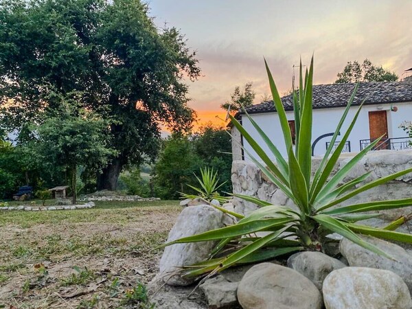 Casa Vacanze Maja E Hermes - Castelli