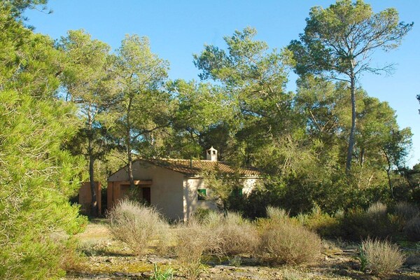 Ferienwohnung 'Casa Del Bosque' Mit Gemeinschaftspool Und Klimaanlage - Colònia de Sant Jordi
