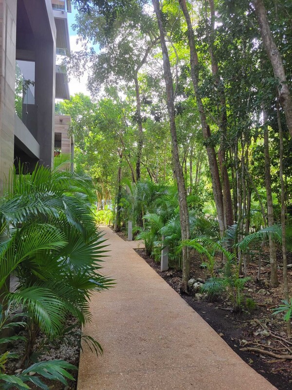 Your Unique Resort Style Home In Beautiful Playa Del Carmen - Playa del Carmen