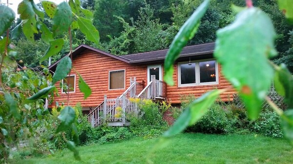 White Pine Cabin With Swimming Pond & Hot Tub Jacuzzi - アイオワ州