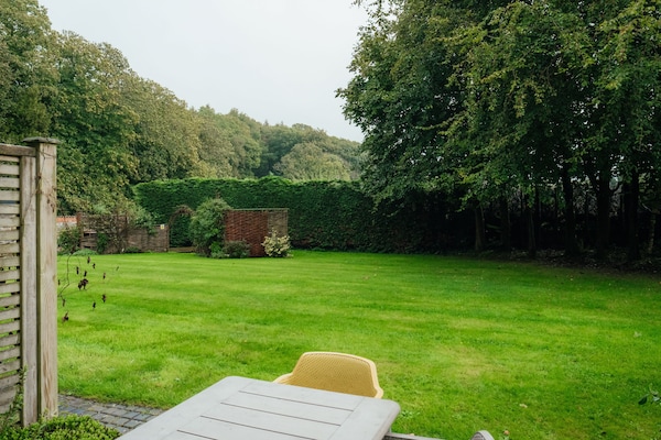 Charming Cottage Next To Ancient Forest - Dorchester