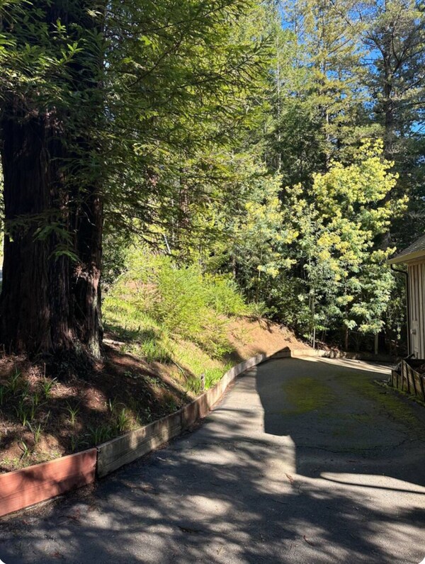 Redwoods Dancing In The Breeze By Day, Ocean Sounds Roaring By Night. Relaxation - Gualala, CA