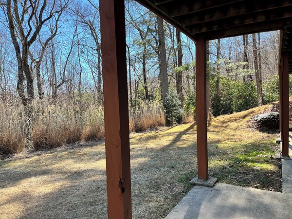 Cozy Guest Suite In Pisgah Forest With Great Access To The Outdoors - Brevard, NC