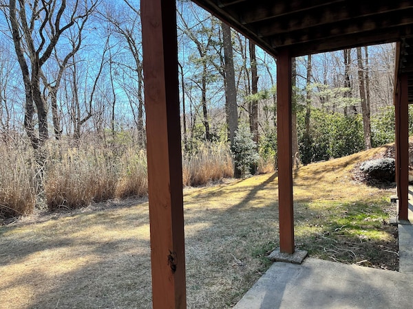 Cozy Guest Suite In Pisgah Forest With Great Access To The Outdoors - Brevard, NC
