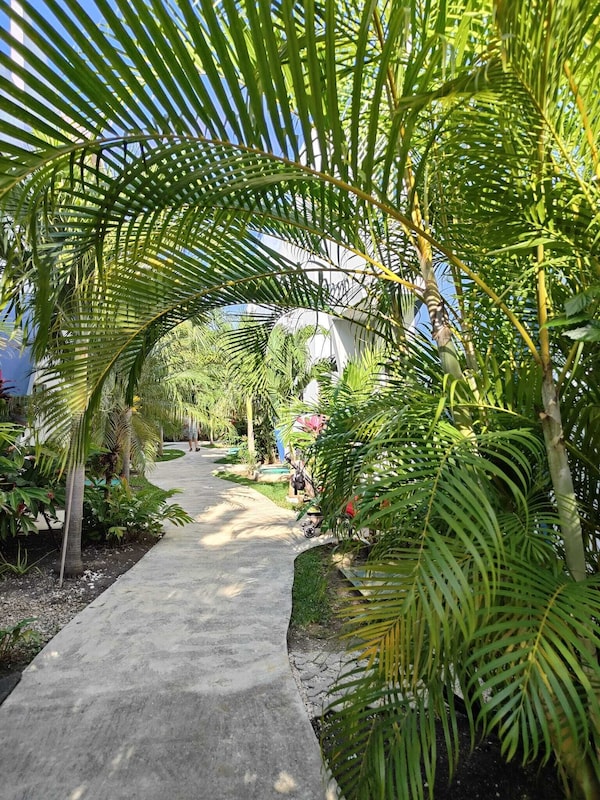 Beautiful House For Rent, Walking Distance To The Beach 1 Bedroom Plus Sofabed - Cozumel