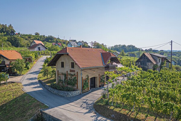 Vineyard Cottage Brodaric, Metlika, Slovenia - Slovenia