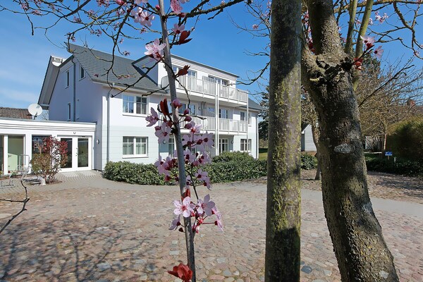 Das Appartment 01 Befindet Sich Im Erdgeschoss - Dierhagen