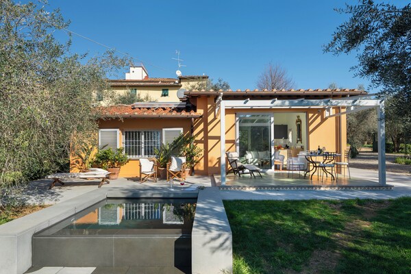 Villino Arancio, Florence Panorama, Small Pool Surrounded By Olive Trees - Florence