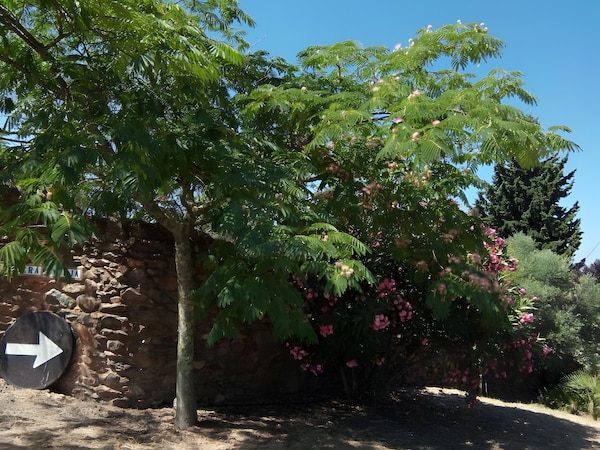 Country House 'Caldera Vieja' With Mountain View, Shared Pool And Shared Garden - Nerva