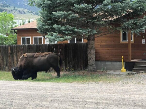 Yellowstone Street River House 3 Bedroom 2 Bathroom At Yellowstone Park Entrance - Gardiner, MT