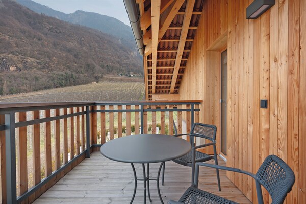 Apartment 'Maso Renner 5' With Mountain View, Wi-fi And Air Conditioning - Больцано