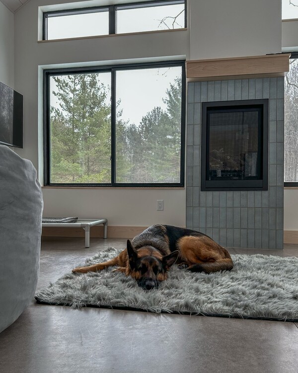 Michi's Base Camp: Your Dog-friendly Escape Begins - Glen Arbor, MI