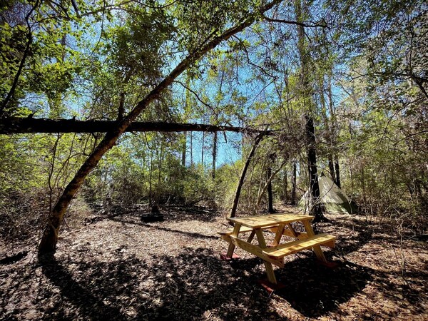 Christian Retreat Campsite #2 - Cozy Canopy - Florida