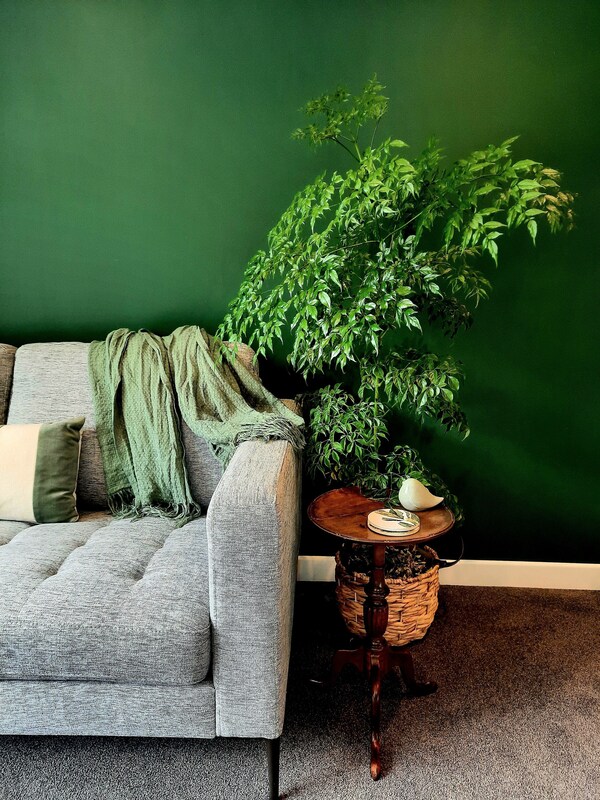 Whakatā Place - Peaceful, Chic, Central Retreat Near Beaches, Parks & Adventure! - Motueka