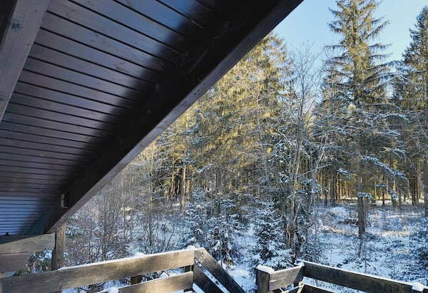 Ferienhaus '1 Am Waldsee' Mit Privatem Garten Und Wi-fi - Clausthal-Zellerfeld