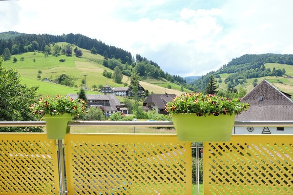 Ferienwohnung 'Rotenbuck, Typ B' Mit Bergblick, Balkon Und Wi-fi - Münstertal/Schwarzwald