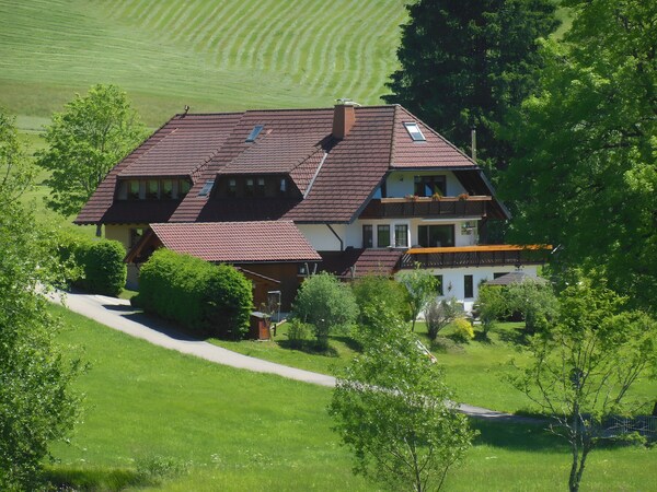 Appartement 'Vogelnest, 35qm' Avec Jardin Partagé Et Wi-fi - Titisee-Neustadt