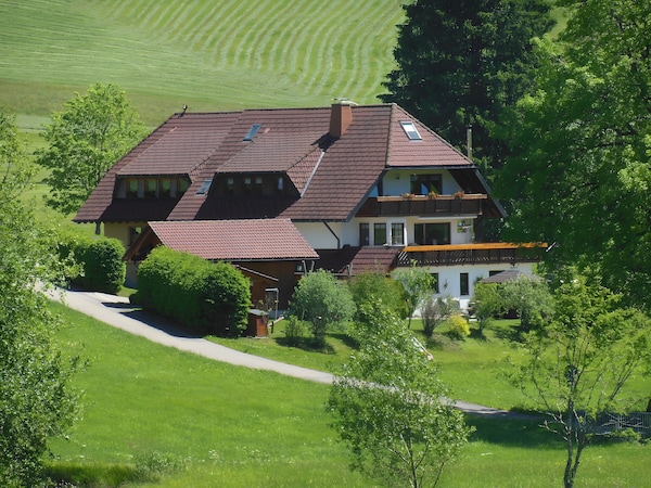 Appartement 'Vogelnest, 35qm' Avec Jardin Partagé Et Wi-fi - Titisee-Neustadt