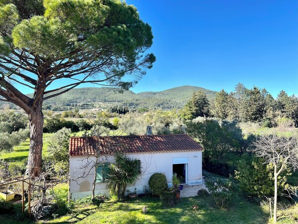 ÉVasion Provençale : Ravissante Maisonnette Au Cœur Des Oliviers - Cuers