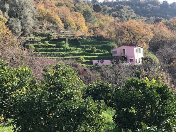 Family Home Between Sea And Hills - Charm, Lemon Trees & Tranquillity - Montecarlo
