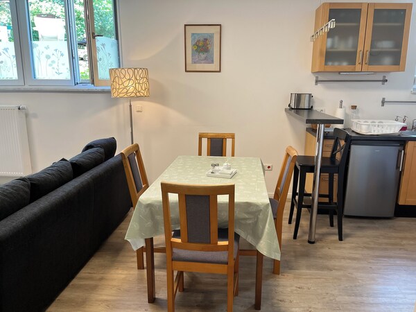 Spacious And Quiet  1-bedroom  Place In Munich. Fully Equipped Sleeps 7 Guests! - 慕尼黑