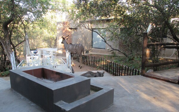 Kruger Wild Retreat - Hyena Chalet - Marloth Park