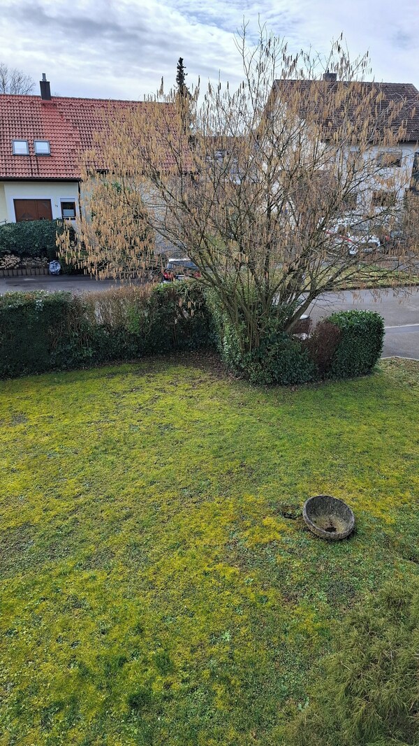 Noria - Apartment Europa-park, Golf Club & Freiburg - Herbolzheim