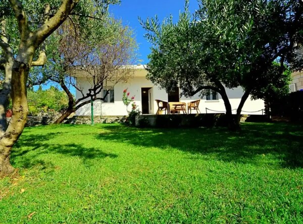 Coastal Breeze House - House - Hvar