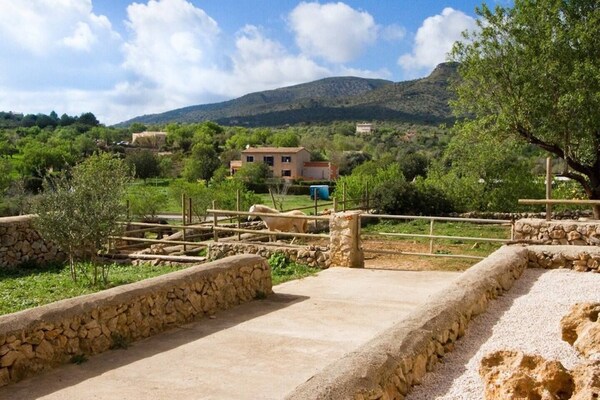 Cas Cavaller | Family & Friends Retreat - Porto Cristo