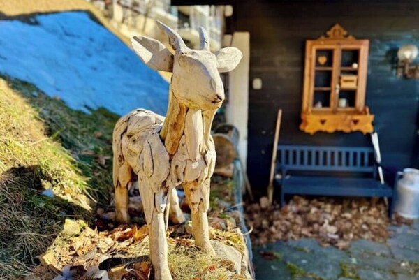114 Magnificent Chalet L'adrine - Gryon