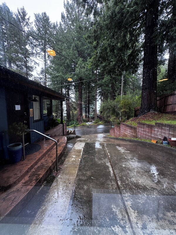 Raven's Nest: Tranquil Forest Suite 5 Min To Downtown Arcata With Redwood Views - Arcata, CA