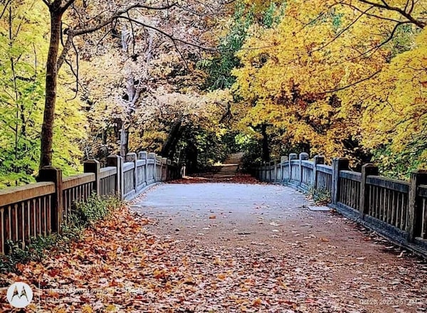 Charming Dog-friendly Bungalow Near Starved Rock - Standard, IL