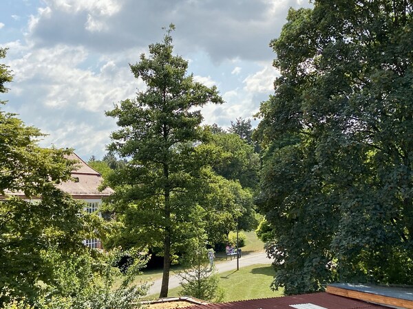 Ferienwohnung 'Milena' Mit Balkon Und Wi-fi - Bruchsal
