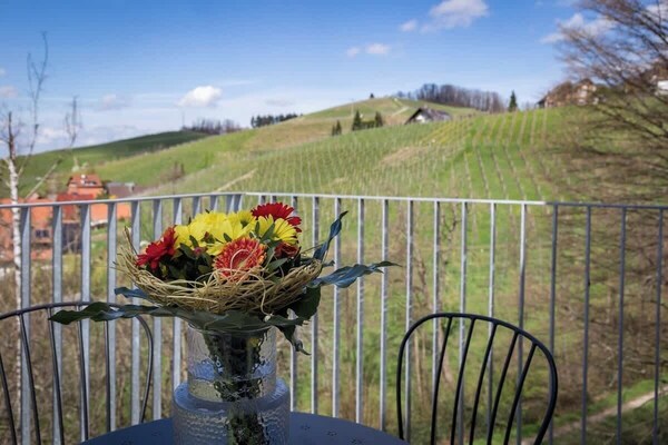 Living Timeless Adler Apartments Deluxe Suite - Sasbachwalden