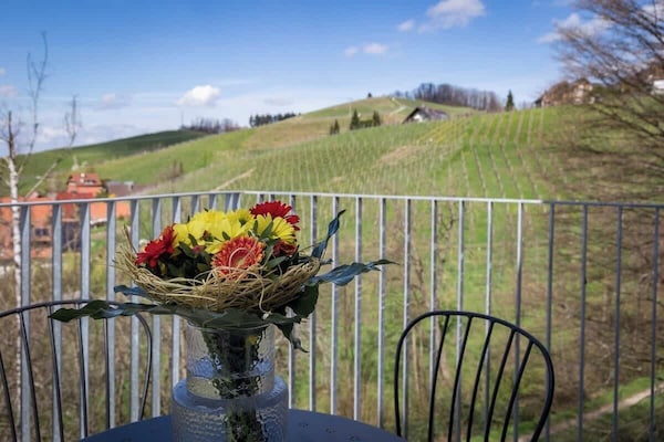 Living Timeless Adler Apartments Deluxe Suite - Sasbachwalden