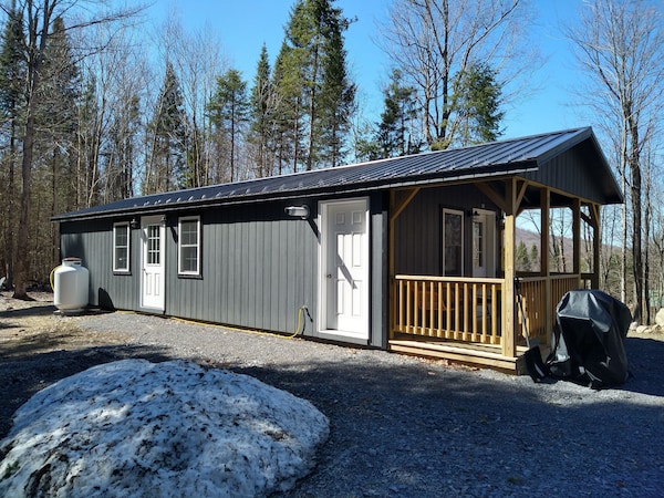 Adk Getaway "Pine Tree Retreat"-new 1 Bedroom Cottage 1 Mile From Adirondacks - État de New York