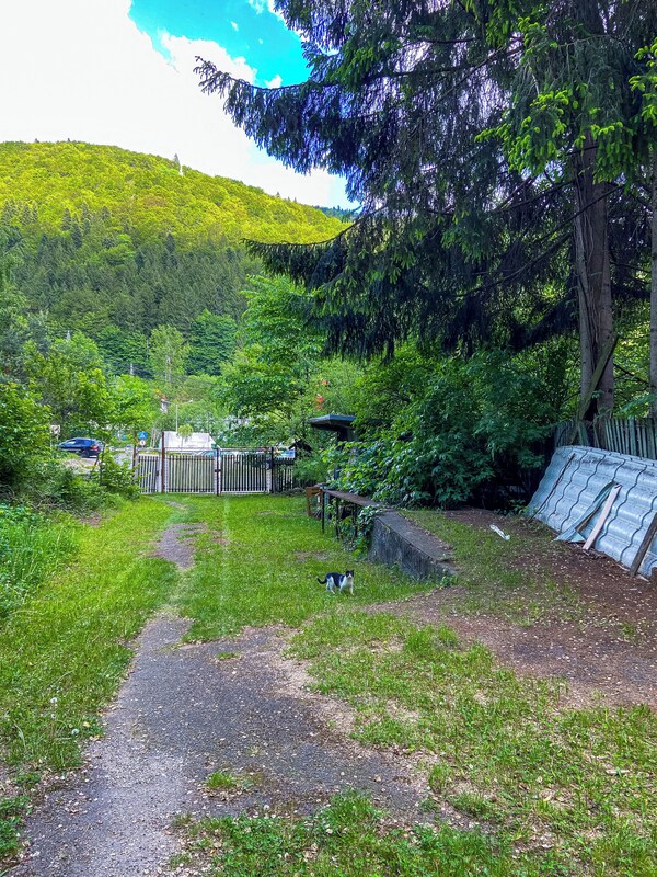 Entire Rental Unit In Sinaia, Romania - Sinaia