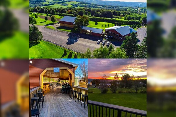 Golf, Outdoor Bar, Restaurant - The Cozy Cabin - Tully Lake, Tully