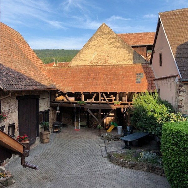 Gîte De Charme, Ancien Domaine Viticole,  13 Personnes - Haut-Rhin