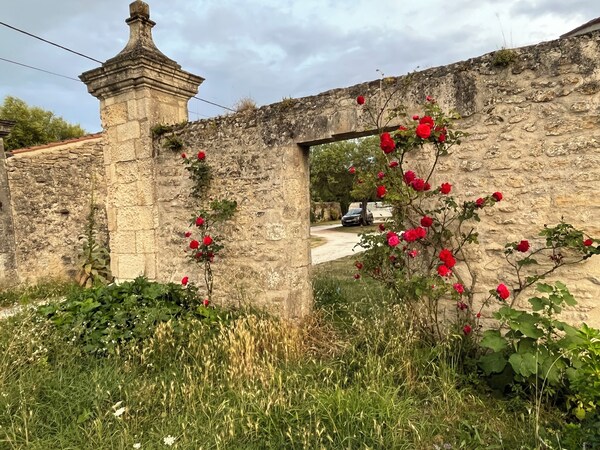 Charmant Appartement Dans Une Ancienne Ferme Du 17éme Siècle, 4 Personnes - Île d'Oléron