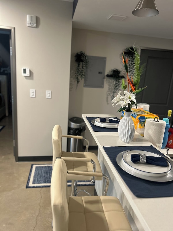 Cozy And Clean 1 Bedroom Apt Centrally Located In Downtown Birmingham, Near Uab - Birmingham, AL