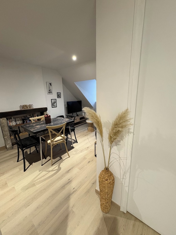 La Villa Louana 4 :Entiérement Equipée , Coeur De Ville - Aubusson