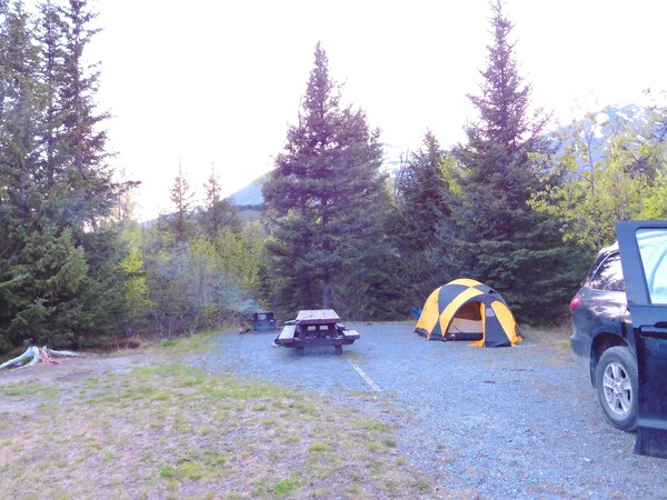 Amazing Campsite In Seward - 알래스카