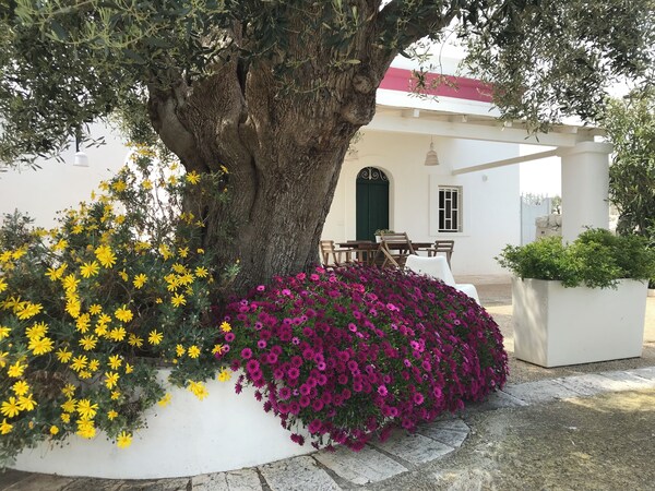 Villa Boucanville, Within Walking Distance Of Polignano And Monopoli And The Beautiful Sea - Polignano a Mare