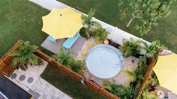 Maincasa- Plunge Pool+dog Run - St. Petersburg, FL