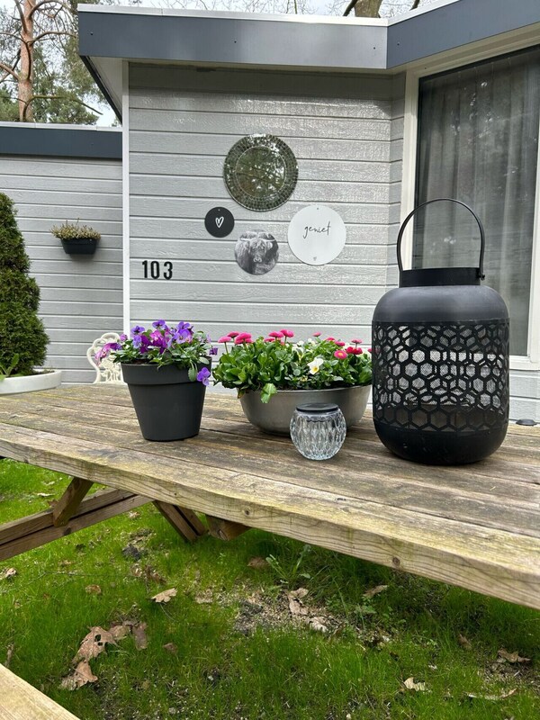 Spacious Chalet With Two Bedrooms - Zwolle