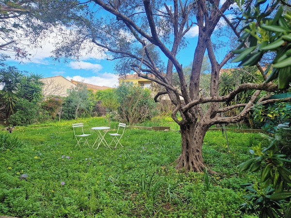 House With Covered Terrace, Rooftop And Large Garden In The Center Of St-florent - Saint-Florent
