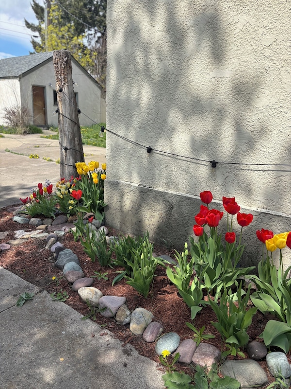 New! Abbott Creek Cottage: 2b/1b Charmer 15 Minutes From Glacier, Great Location - Montana